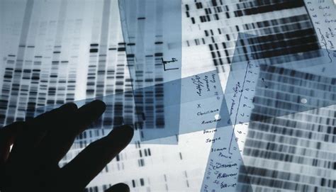 Forensic Testing Dna Consulta