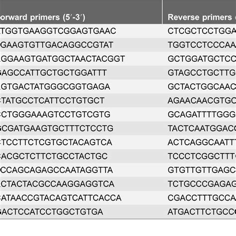 Scatter Plot Of The Microarray Data The Data From The Microarray Are