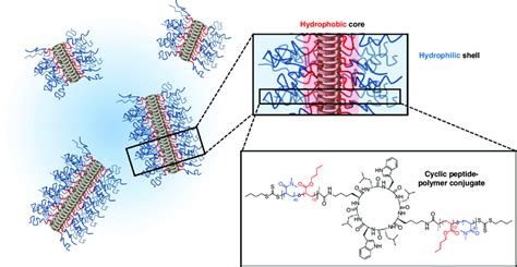 Self Assembling Cyclic Peptide Diblock Polymer Conjugates The Download Scientific Diagram