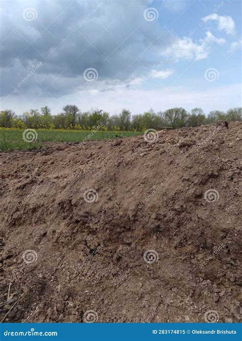 Disturbed Ground Soil Texture Stock Image Image Of Earth Ecology