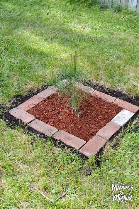 Simple Tree Surround Madness And Method