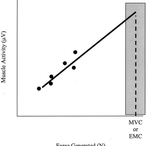 Graph Showing The Linear Slope Relation Between Forces Generated And