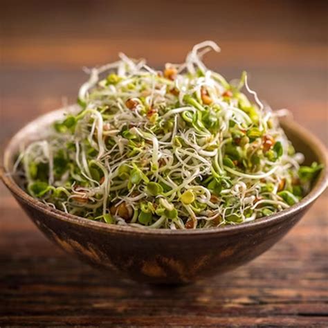 मानसून के मौसम में न खाएं ये चीजें तबियत हो सकती है खराब Foods