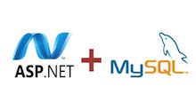 How To Connect A MySQL Database Using ASP NET Hosting Column