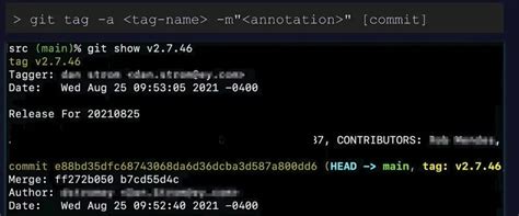 Git でバージョン番号を管理する Delft スタック