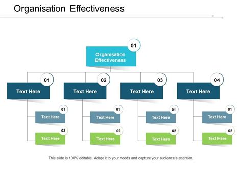 Organisation Effectiveness Ppt Powerpoint Presentation Portfolio Sample