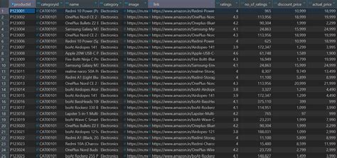 Crafting Real World Like Data For E Commerce Domain Databases