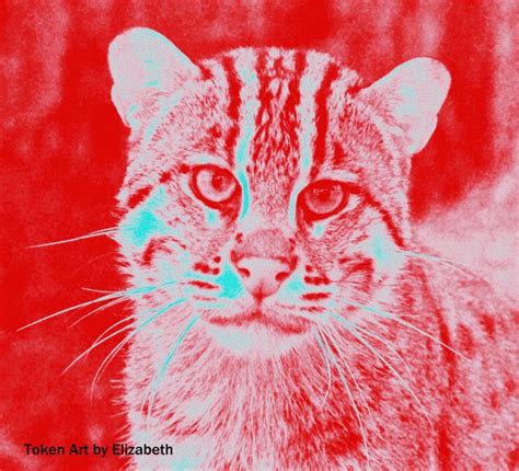 Aqua And Red Wildcat Art