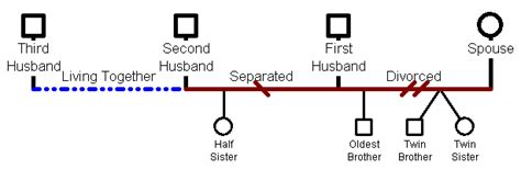Rules To Build Genograms Genopro