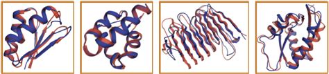 Predicting Structures Of Small Proteins Lauferworks