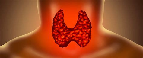 Do You Take Thyroid Medication Precision Clinical Research Do You Take Thyroid Medication Precision Clinical Research