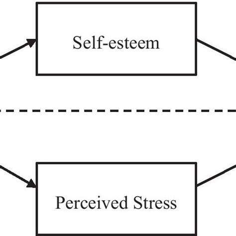 Proposed Model Illustrating Self Esteem And Perceived Stress As