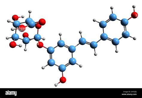 3d Image Of Trans Resveratrol 3 O Glucuronide Skeletal Formula
