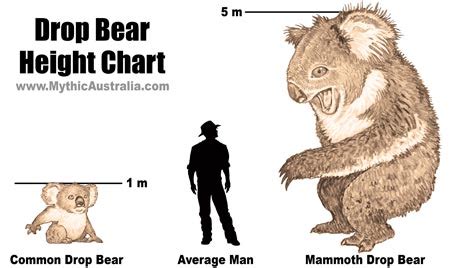 Drop Bears The Terror Of The Australian Bush