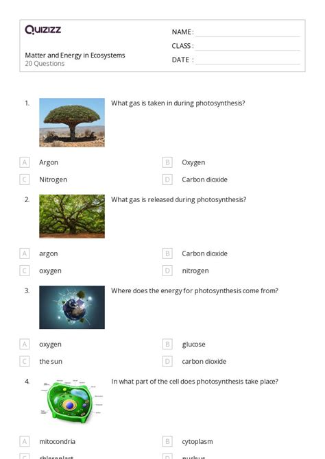 50 Ecosystems Worksheets For 7th Grade On Quizizz Free And Printable