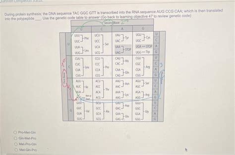 solved during protein synthesis the dna sequence tac ggc
