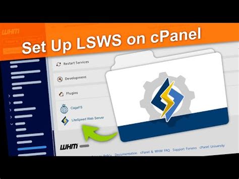 Set Up LiteSpeed Web Server On CPanel WHM YouTube