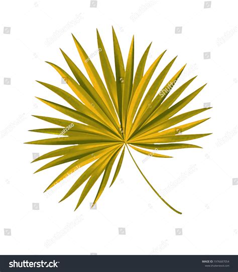 Digital Textile Design Flower Leaves Texture Stock Illustration