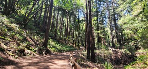 13 Oakland Attractions Not To Miss