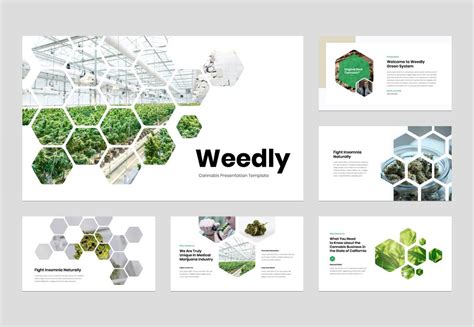 Cannabis Google Slides Presentation Template Graphue