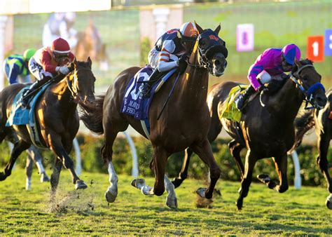 Gold Phoenix Earns Del Mar Handicap Victory Orange County Register