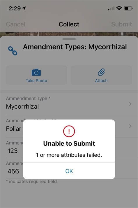 solved error when submitting record in related table un esri