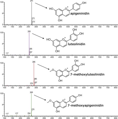 Mass Spectra Of The Four Major Compounds Detected Using Uplc Ms Along