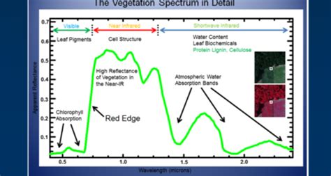 Remote Sensing Final Flashcards Quizlet