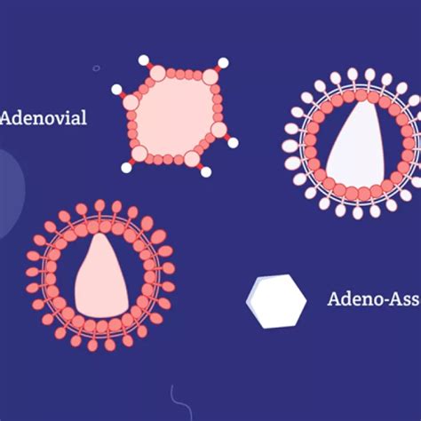 What Is A Vector And Examples Vectors Tutorial