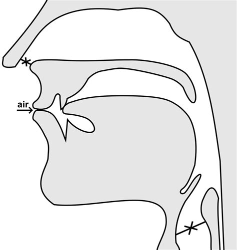 Bilabial Coartic Contracted Fricative R Conlangscirclejerk