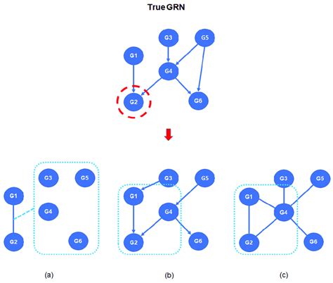 Grn Inference With Ggm Bn And Mrf When G2 Is A Target Gene Red Dot Download Scientific