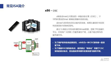Cpu Nuclei Rv Risc V Mcu