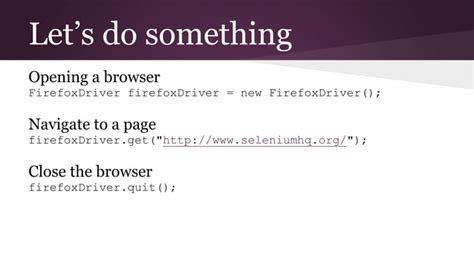 Beginner S Guide To Selenium Ppt