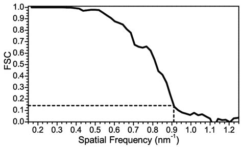 Nc Fourier Shell Correlation Resolution Is 11 Nm Using An Fsc Cutoff