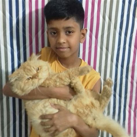 Chines Chiga Youtube