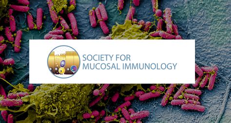 Mucosal Immunology Journal Resources Society For Mucosal Immunology