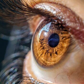 FDD LTE Vs TDD LTE Exploring The Differences Between FD LTE And TD LTE Networks Onestepguide