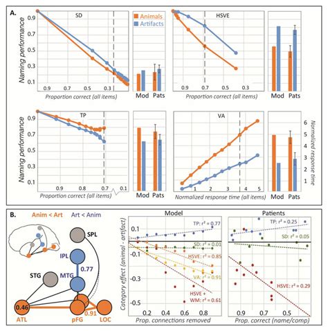 results of patient simulations a line plots show model naming