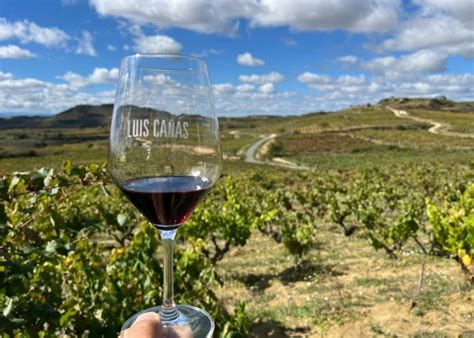 Private Wine Tour In La Rioja With Lunch Local Experts Tours