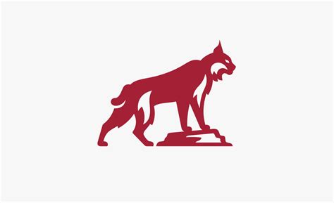 Visual Brand Identity — Chico State