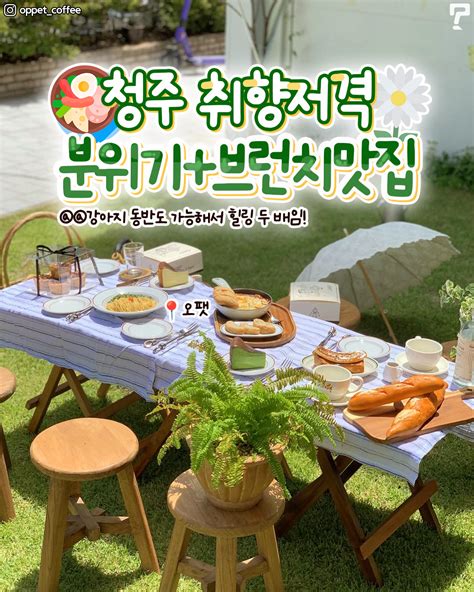 청주 가볼래 청주맛집 청주카페 복대동맛집 율량동맛집 성안길맛집 용암동맛집 분평동맛집 오창맛집 가경동맛집 산남동맛집 청주맛집 짱이네돈까스 🍽️ 성안길에서 돈까스