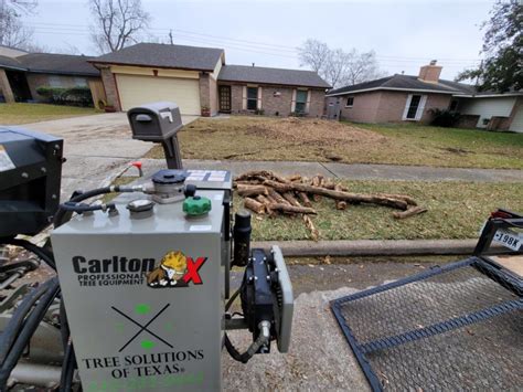 Tree Root Removal Tree Solutions Of Texas