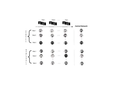 Variability In Functional Brain Networks Predicts Expertise During Action Observation