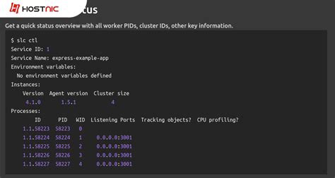 Process Managers For Node Js Applications In Linux Hostnic Id