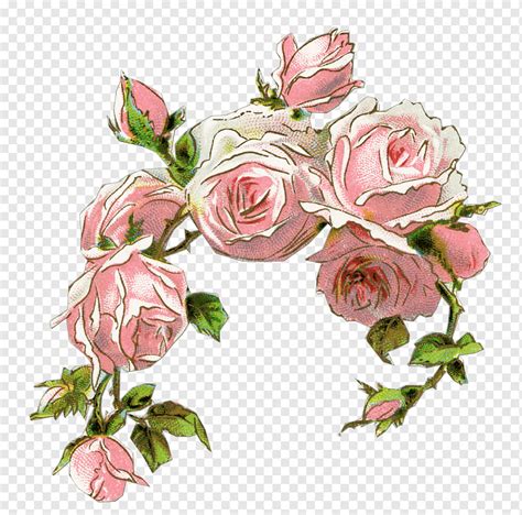 로즈 핑크 빈티지 의류 꽃 꽃 수채화 꽃꽂이 데쿠 파주 인공 꽃 Png Pngwing