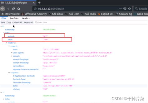 漏洞复现 springboot未授权访问 spring boot actuator未授权访问漏洞复现 csdn博客
