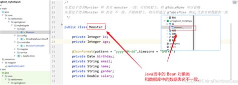 十八，spring Boot 整合 Mybatis Plus 的详细配置springboot Mybatisplus配置 Csdn博客