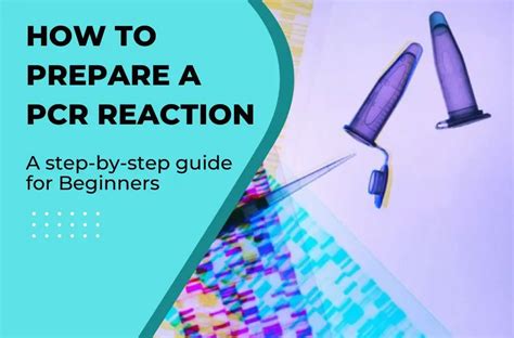 How To Prepare An Excellent Pcr Reaction A Step By Step Guide