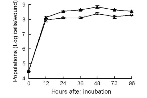 Growth Rate Of Pichia Pastoris Strains Gs115 And Recombinant Strain Download Scientific Diagram
