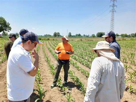 Ahmad Husseini On Linkedin Congratulations M Fatih Tolga Phd For The Successful Trial